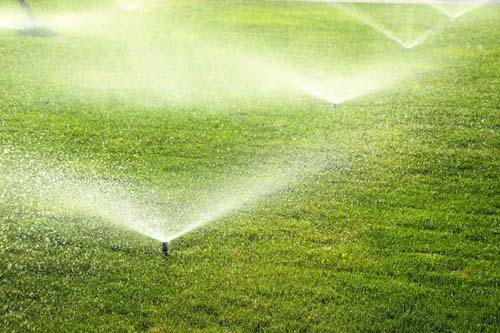 Landscape Services